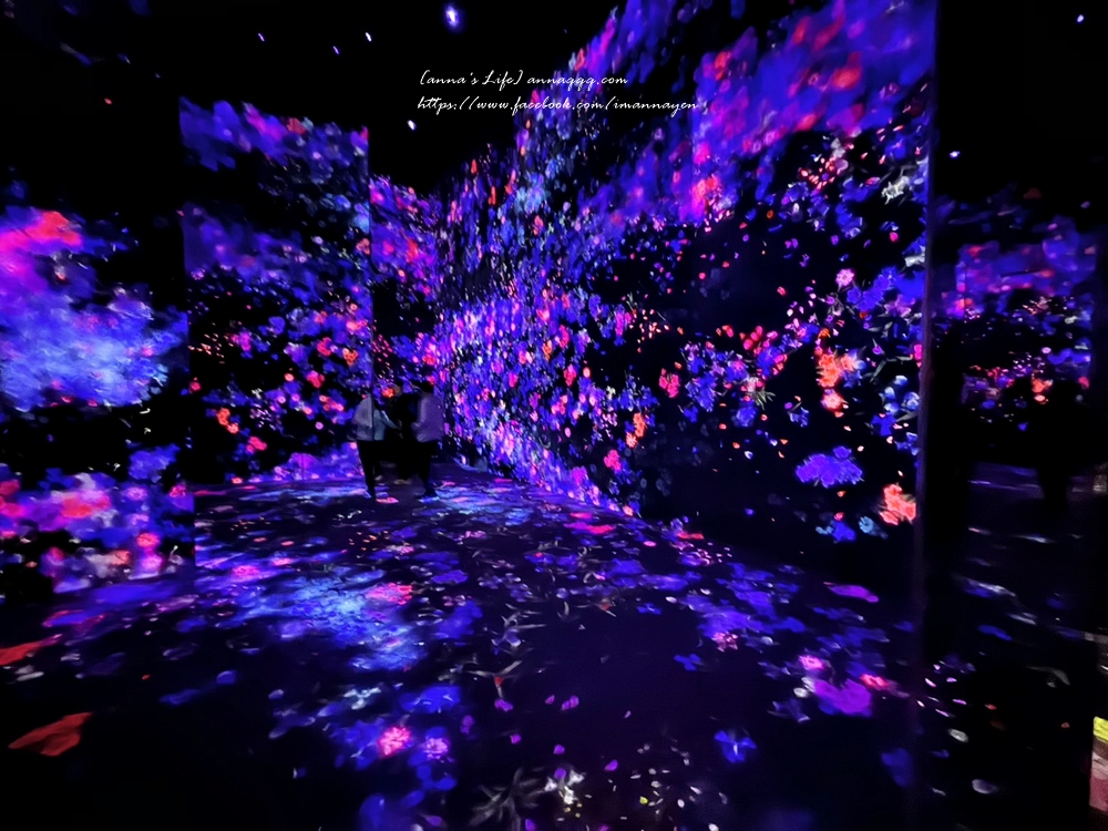 日本東京teamLab Borderless: MORI麻布台之丘無界數位美術館、與teamLab Planets TOKYO DMM豐洲差別/心得介紹(KLOOK/KKday門票預約購買 ...
